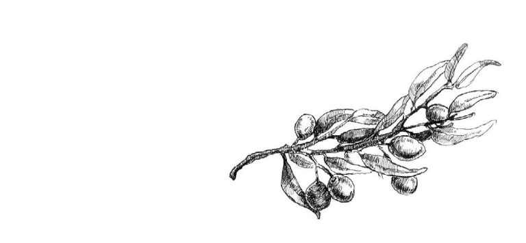 ️ Ludim - 【Definicion En La Bíblia】. Actualizado 2025