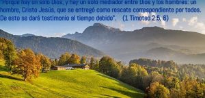 ️ Vindicar - 【Definición Bíblica】. Actualizado 2026