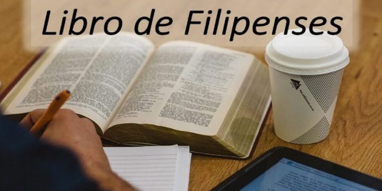 ️ Proveer - 【Definicion En La Bíblia】. Actualizado 2026